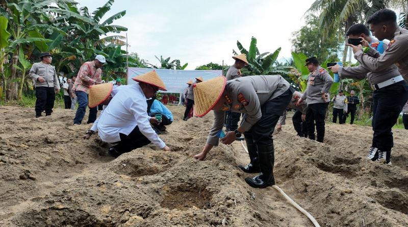 Dukung Ketahanan Pangan Nasional, Polresta Tanjungpinang Tanam Jagung di Lahan Perhutanan Sosial